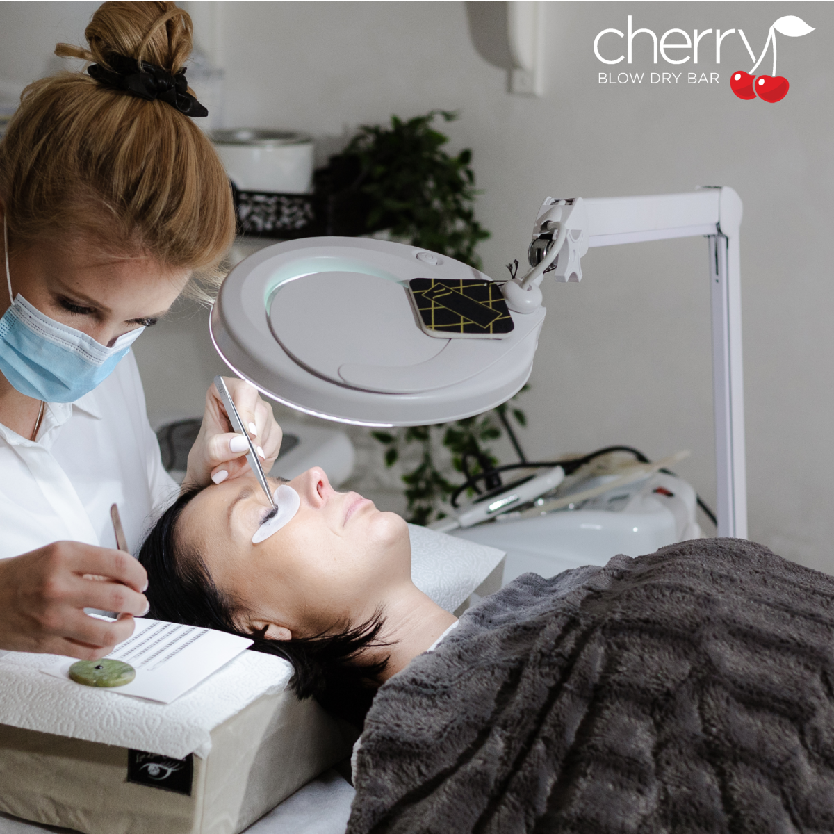 Lash + Brow Services